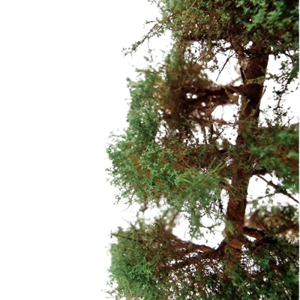 Primo Models - Pine Tree Model 9-11 cm - dcctrainautomation.co.uk