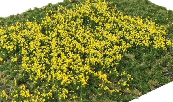Layered Tufts Flowers Yellow - dcctrainautomation.co.uk