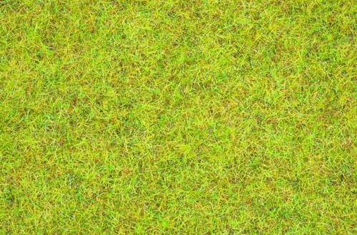 Nock 08151 Summer Meadow Scatter Grass 2.5mm (120g ...