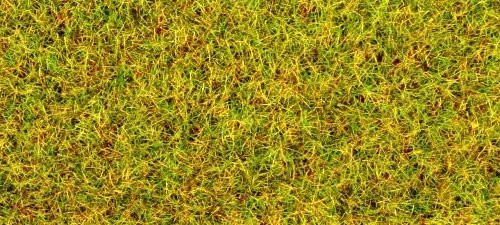Nock 08310 Summer Meadow Scatter Grass 2.5mm (20g) - dcctrainautomation ...