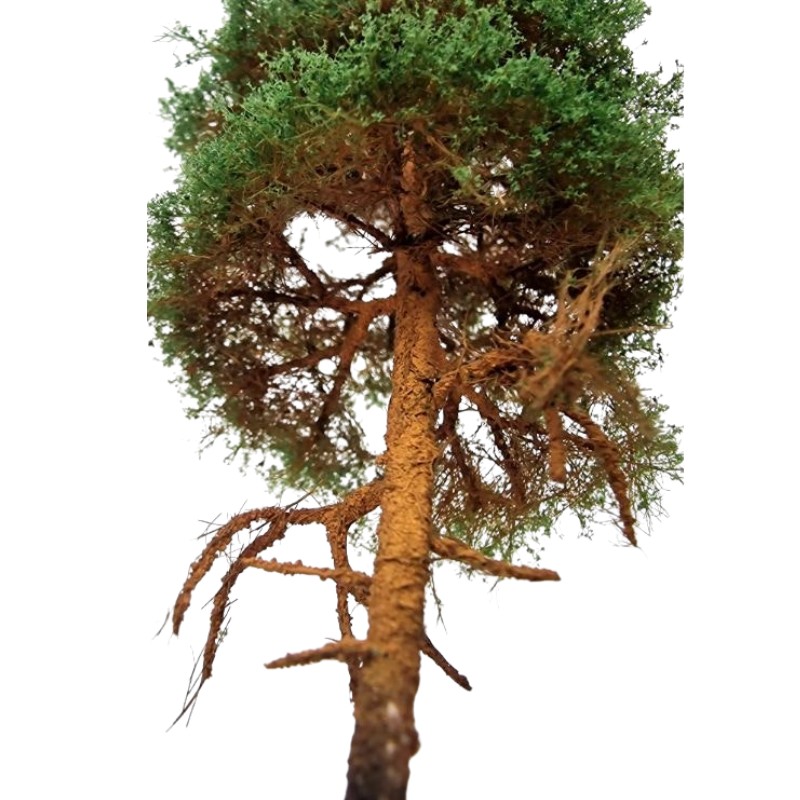 Primo Models - Pine Tree Model 9-11 cm - dcctrainautomation.co.uk