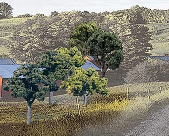 2"-3" Ready Made Mixed Green Deciduous Trees (23pc ...